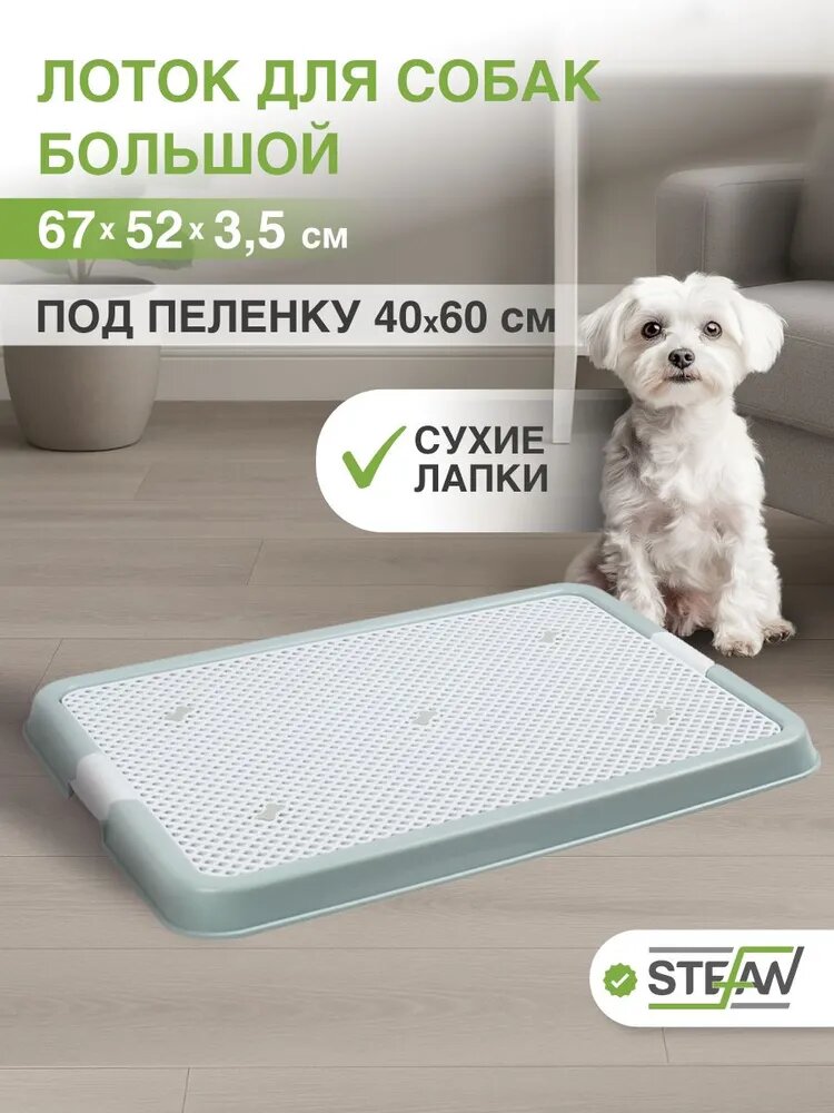 Туалет лоток для собак мелких пород под пеленку Stefan (Штефан), 50х38 см, бело-голубой, BP1305NGW