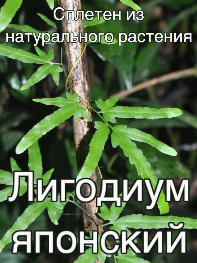 Фигурка садовая "Логово" декоративное гнездо из древесного волокна — фото 1