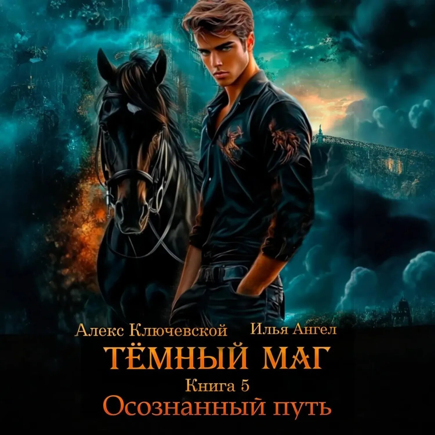 Тёмный маг. Книга 5. Осознанный путь [Аудиокнига]