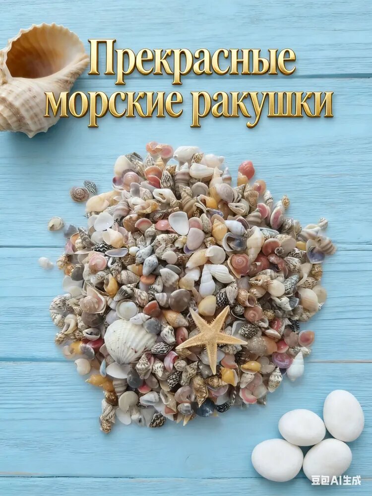 Ракушки для аквариума натуральные морские, набор смешанных ракушек для декора и акваскейпинга