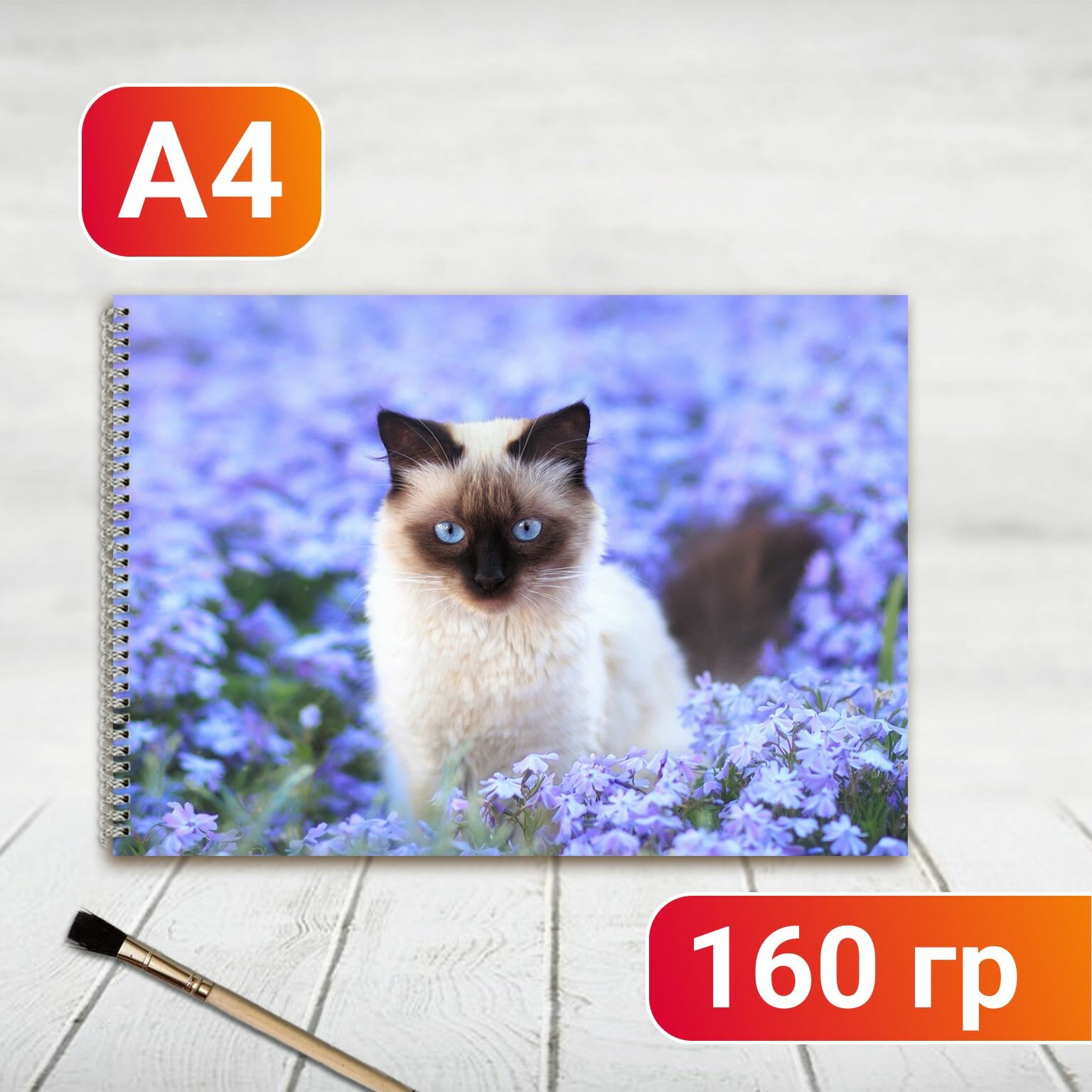 Альбом для рисования Котик