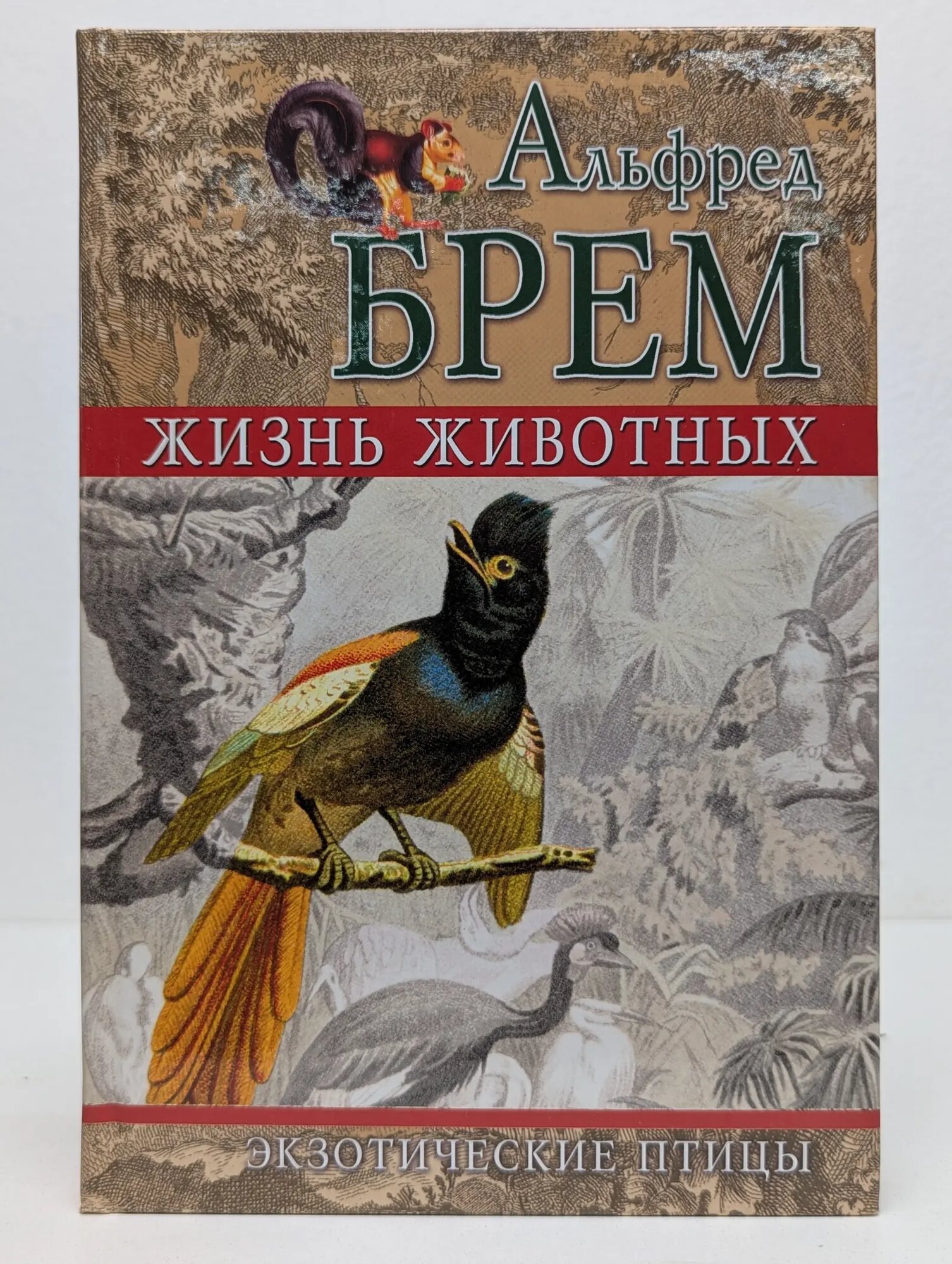 Жизнь животных. Экзотические птицы Брем Альфред Эдмунд 2009