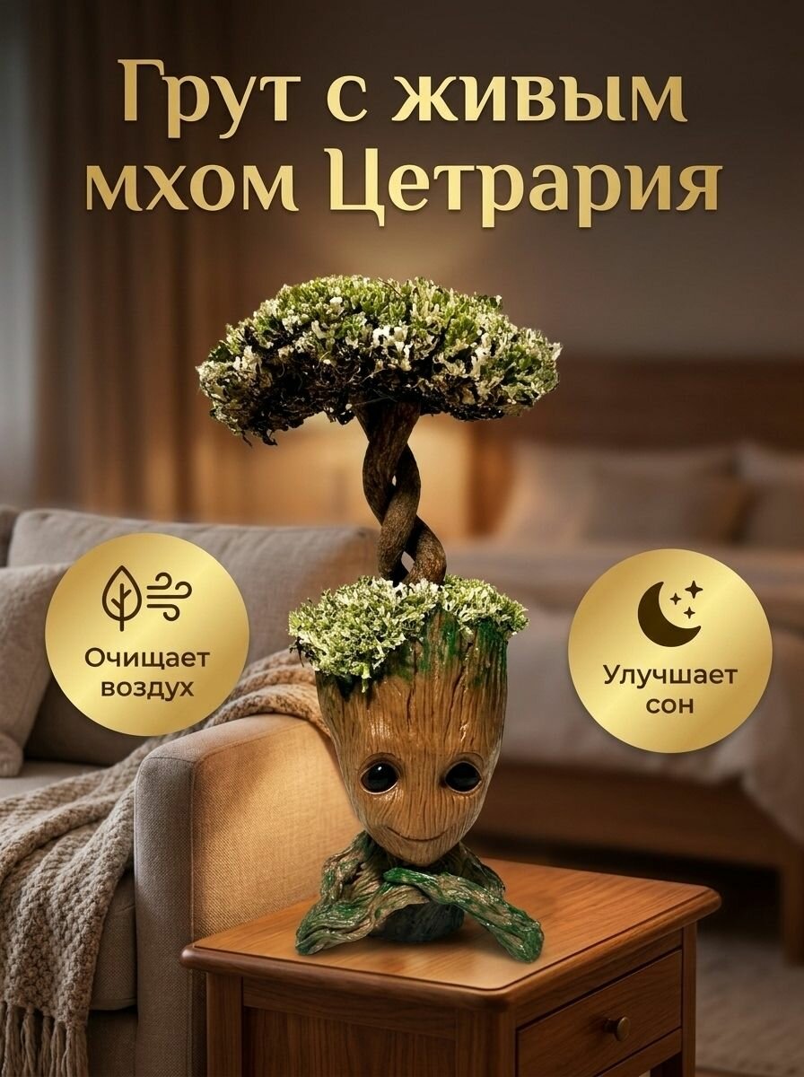 Грут с живым мхом из цетрарии