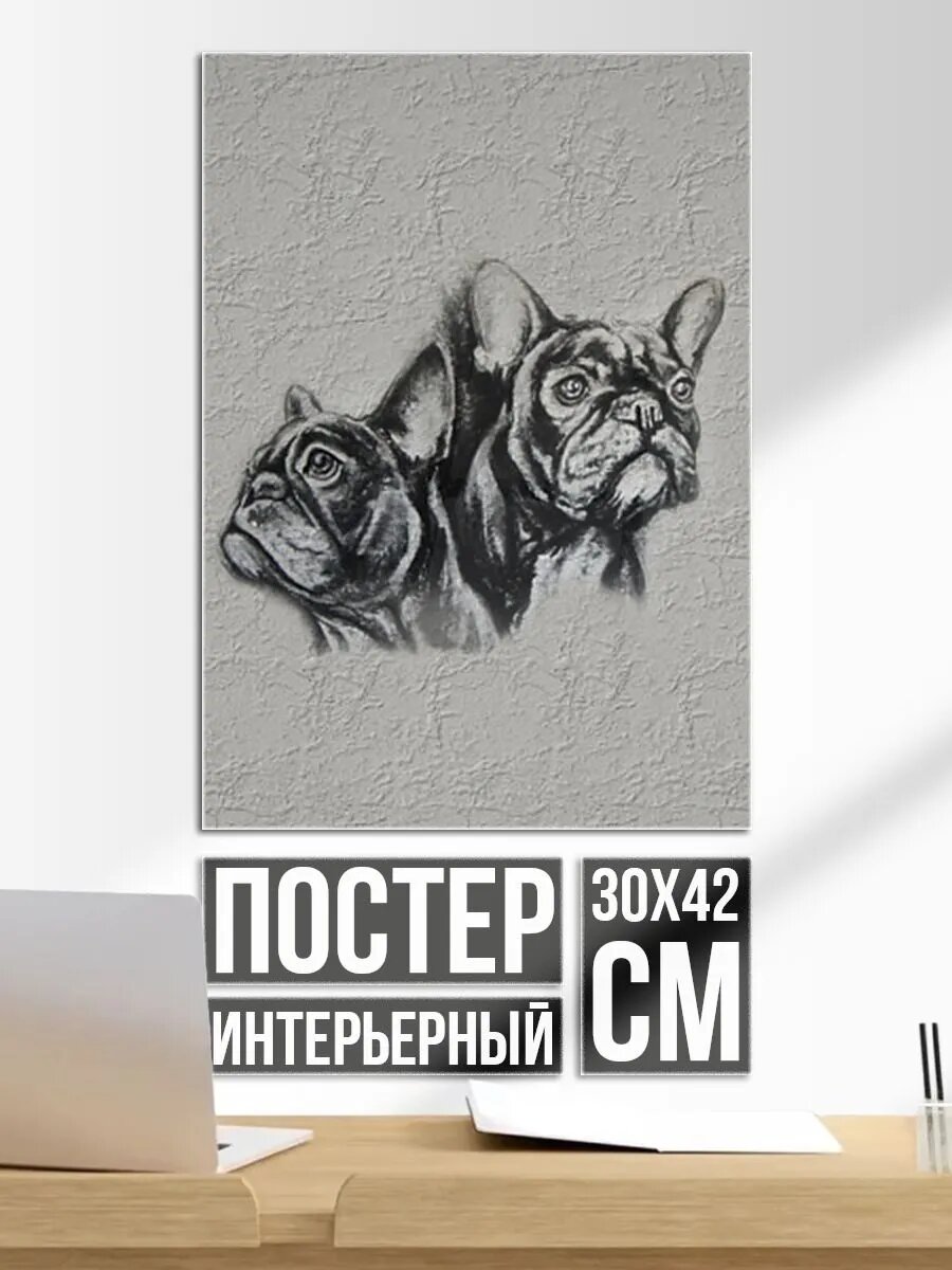 Постер на стену Французские бульдоги пара