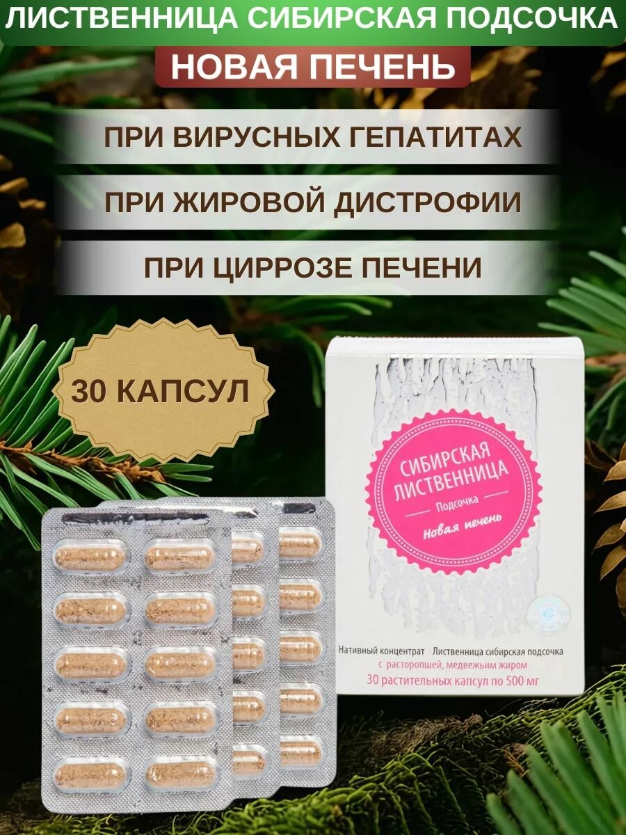 Лиственница сибирская подсочка Новая печень с расторопшей и медвежьим жиром, капсулы 30 шт. При алкоголизме, вирусных гепатитах, разрушении печени, циррозе и гепатозе