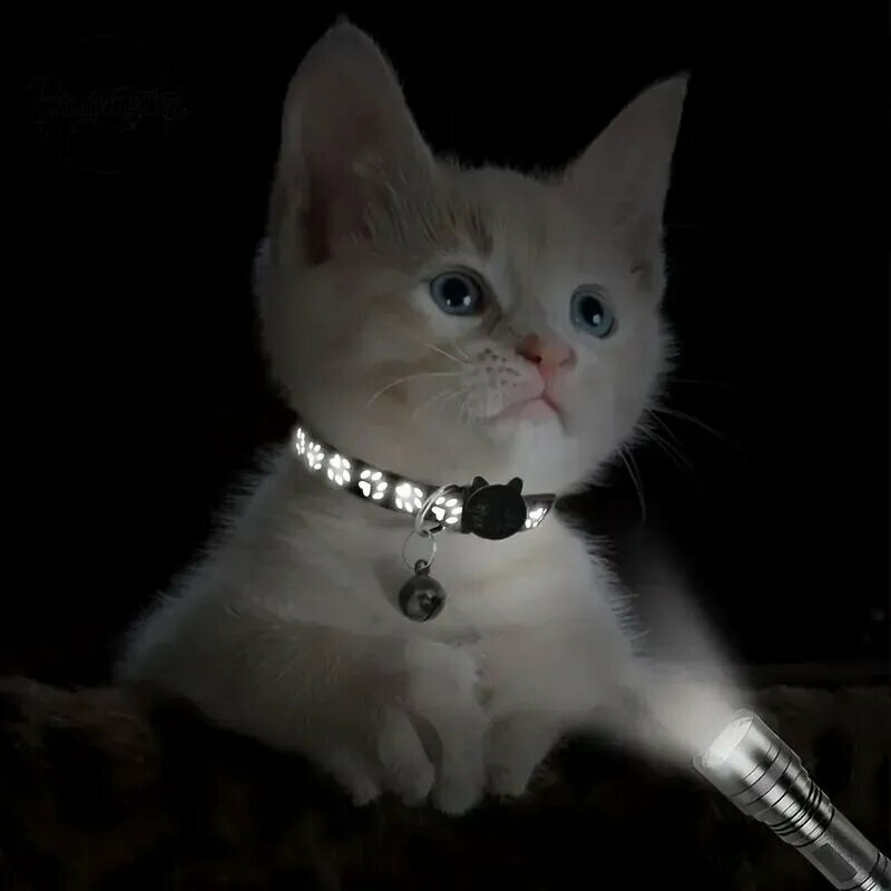Ошейник для кошек, котов, котят, собак мелких пород, щенков с колокольчиком, нейлоновый, коралловый