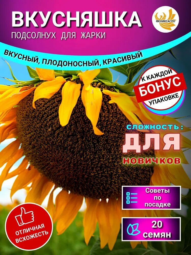 Подсолнух Вкуснятина семена 20шт со Своего Огорода + Советы по Посеву + Подарок
