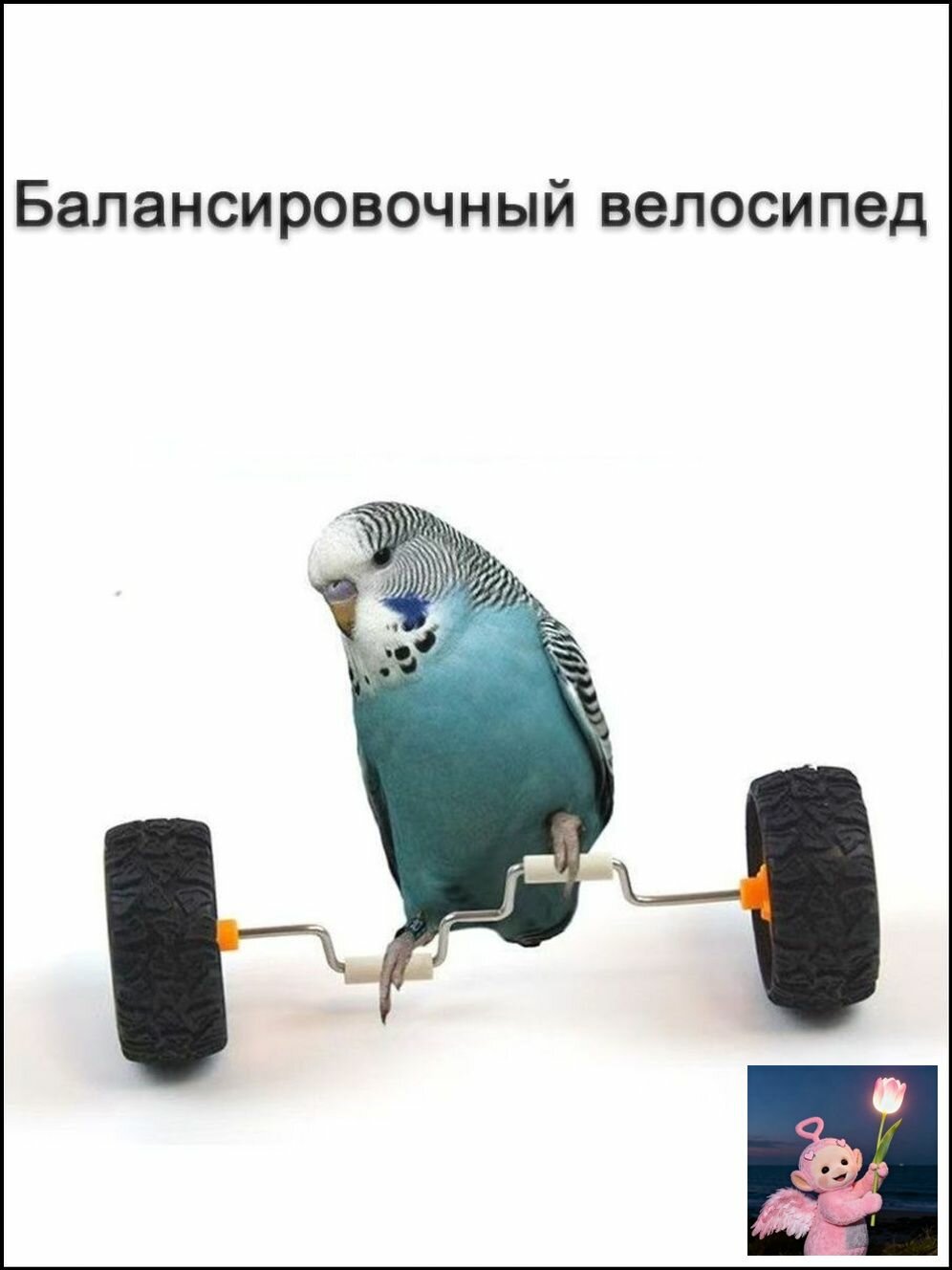 Бестселлер для питомцев