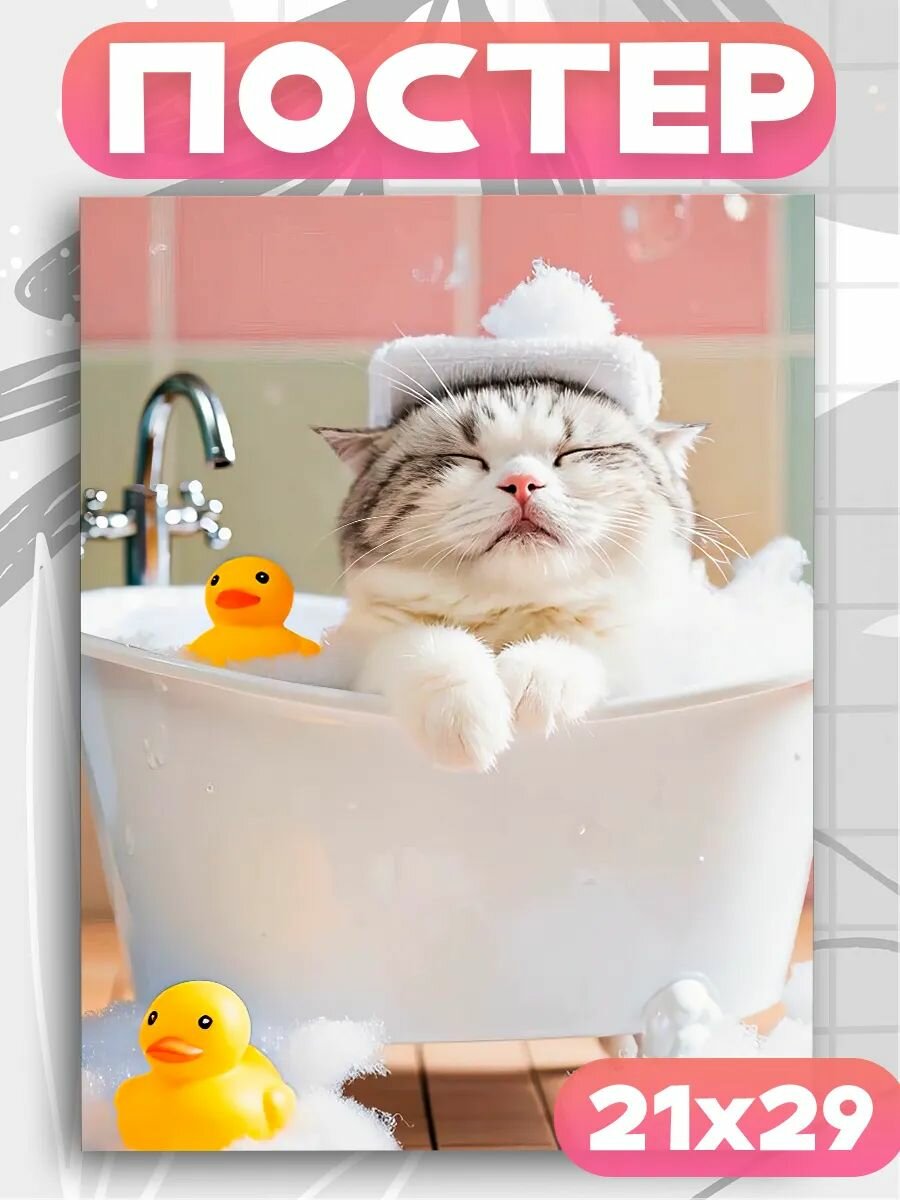 Постеры на стену интерьерные Милые котики, плакат 1шт, А4 размер.