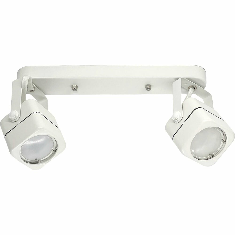 Накладной двойной поворотный светильник truEnergy 2хGU10 D60xH130xL260 IP20 белый/металл 21353