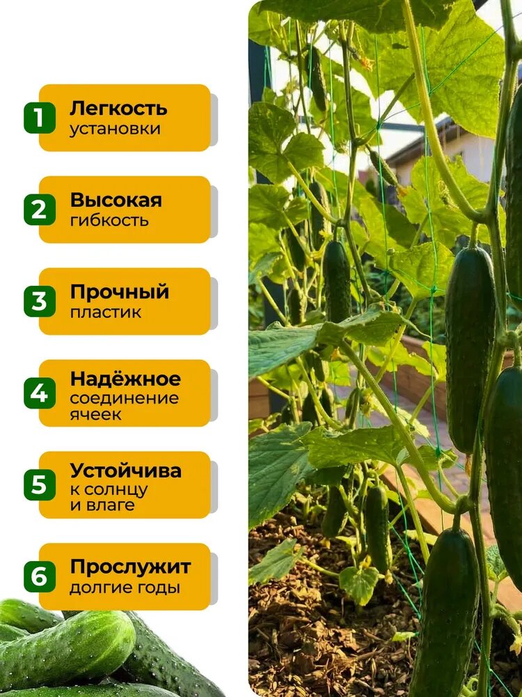 Шпалера,200см,1шт — фото 1