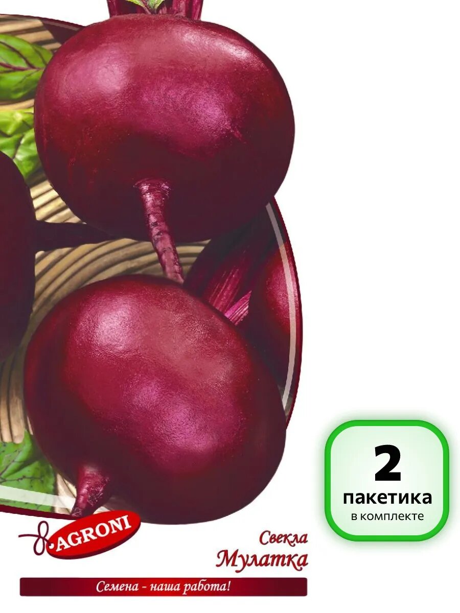 (2 шт.) - Семена Свекла столовая Мулатка (2,0г)