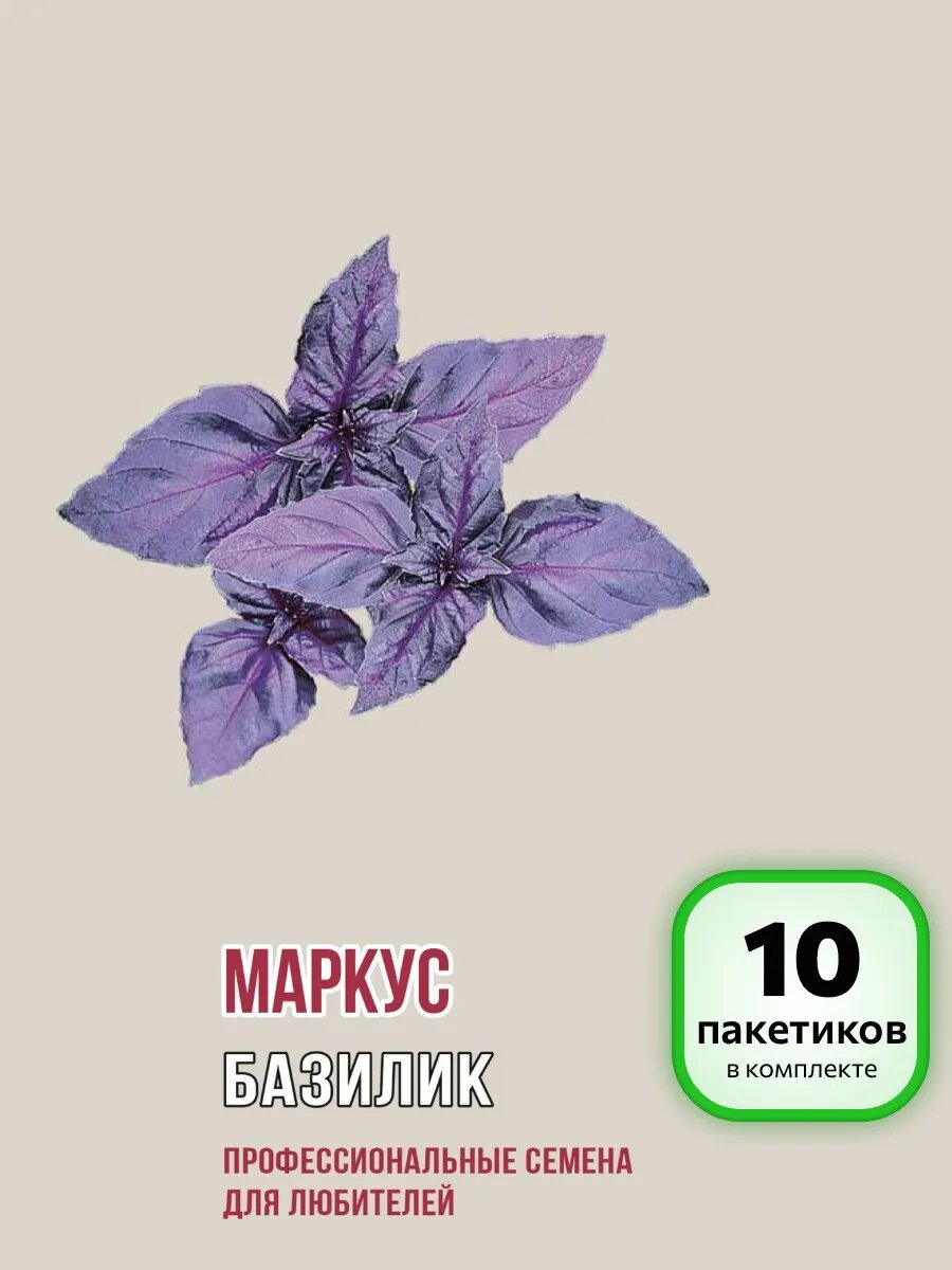 (10 шт.) - Семена Базилик маркус 1,0г