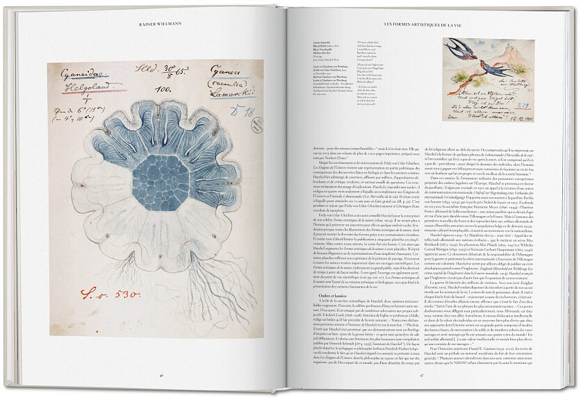 Ernst Haeckel — фото 1