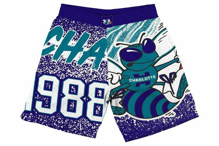 Шорты спортивные NBA Charlotte Hornets Jumbotron