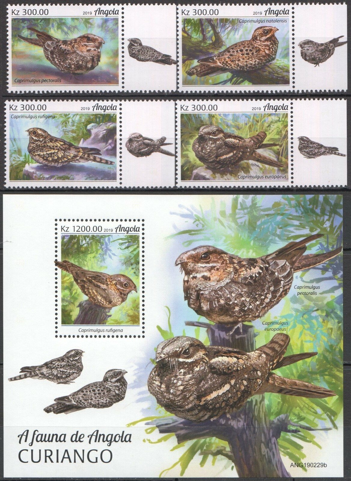 Марки 2019 год Ангола Птицы Козодои Фауна #2235-2238+Bl212 Mnh