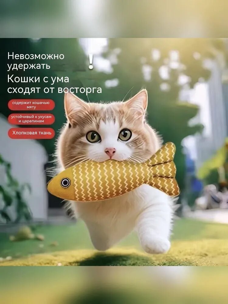 Кис-кис-кис. — фото 1