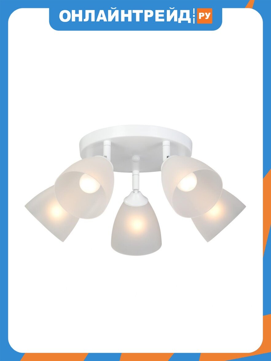 Потолочная люстра Vitaluce V4355-0/5PL