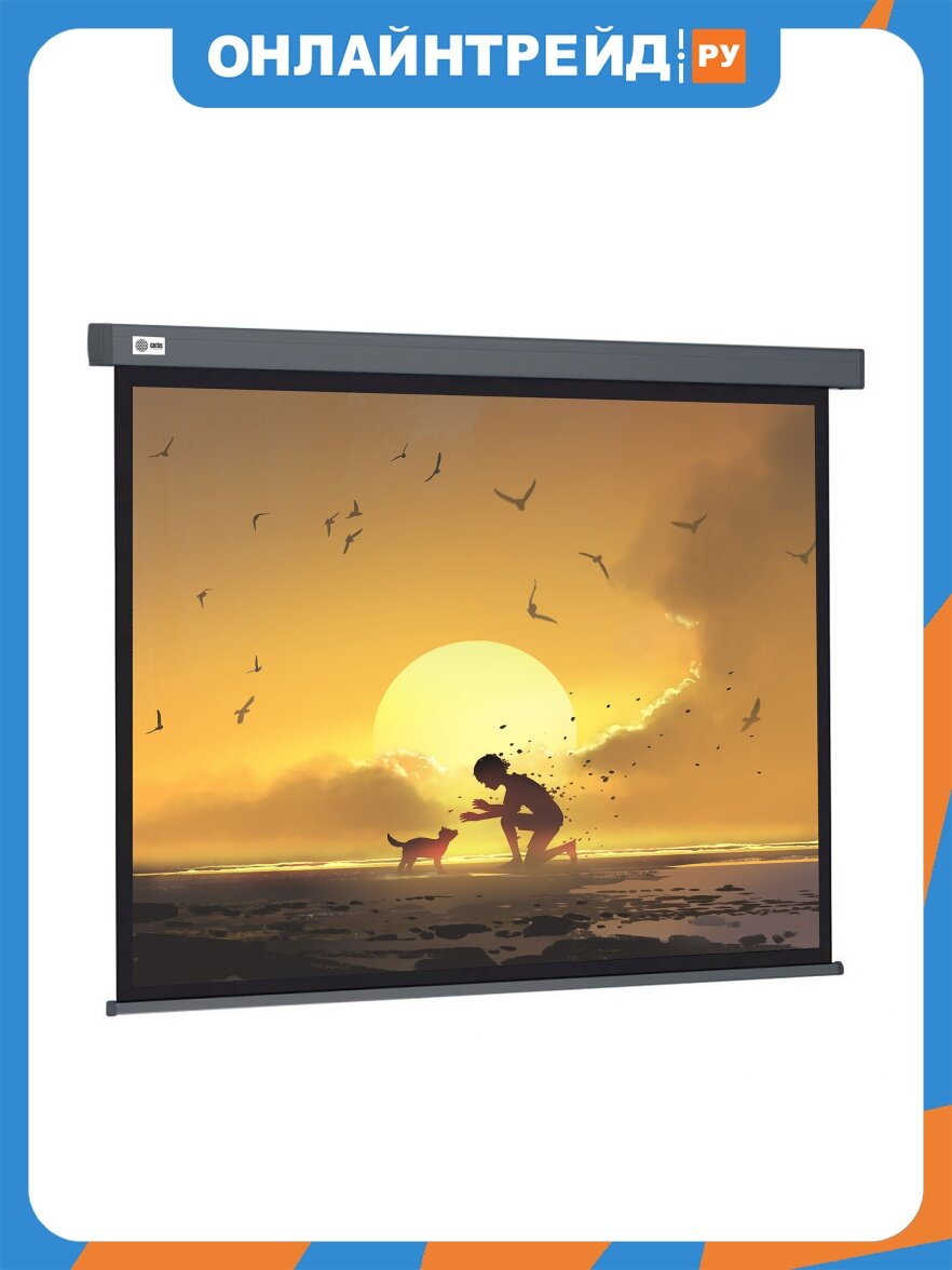 Экран Cactus 124.5x221см Wallscreen CS-PSW-124X221-SG 16:9 настенно-потолочный рулонный серый