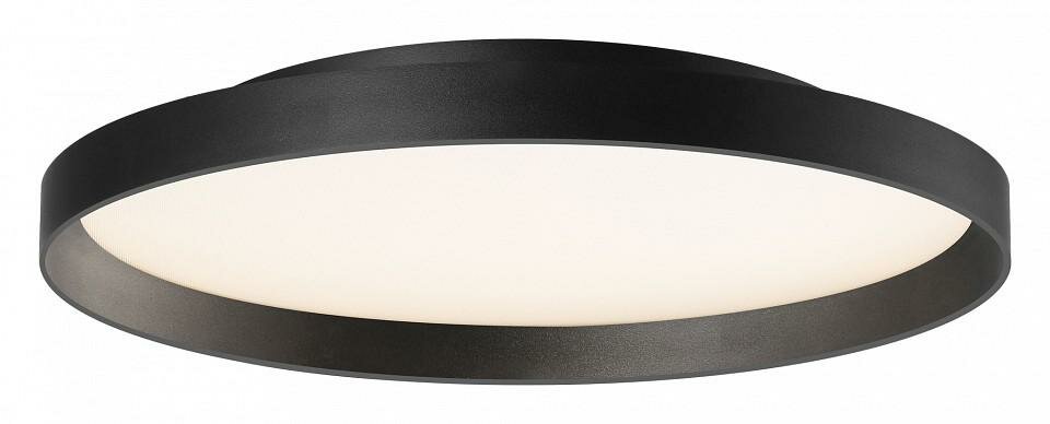 Накладной светильник Arlight ESTELY 055589 цвет плафона подвески Черный, цвет арматуры Черный