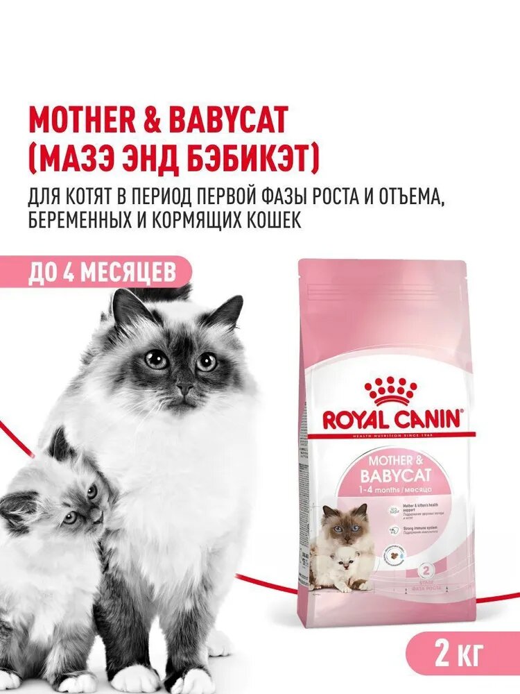 Сухой корм для котят и кошек Royal Canin Mother&Babycat для беременных и кормящих, 2 кг