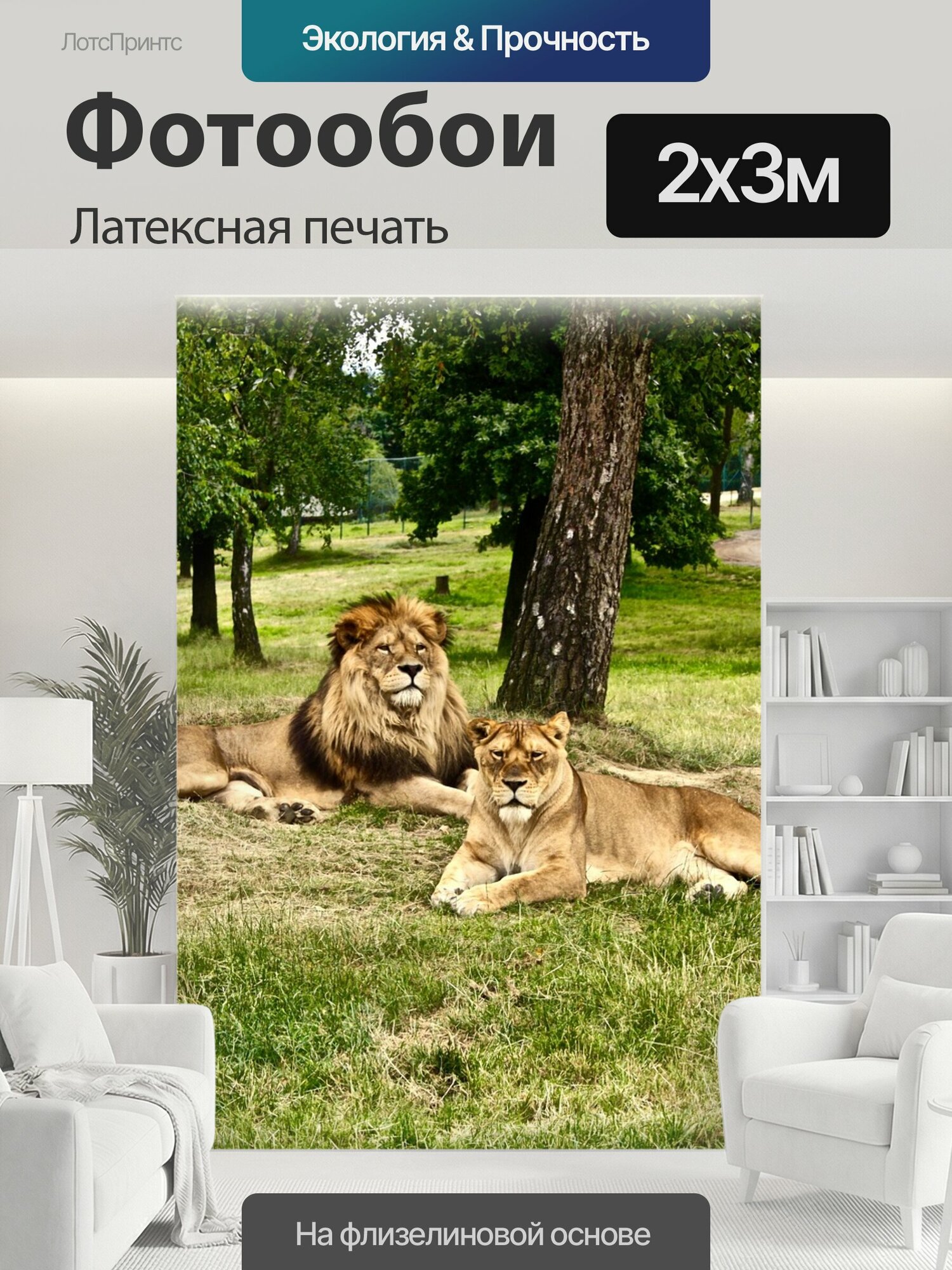 Фотообои моющиеся ударопрочные "Лев, львица, африка" 200x300 см. латексная печать