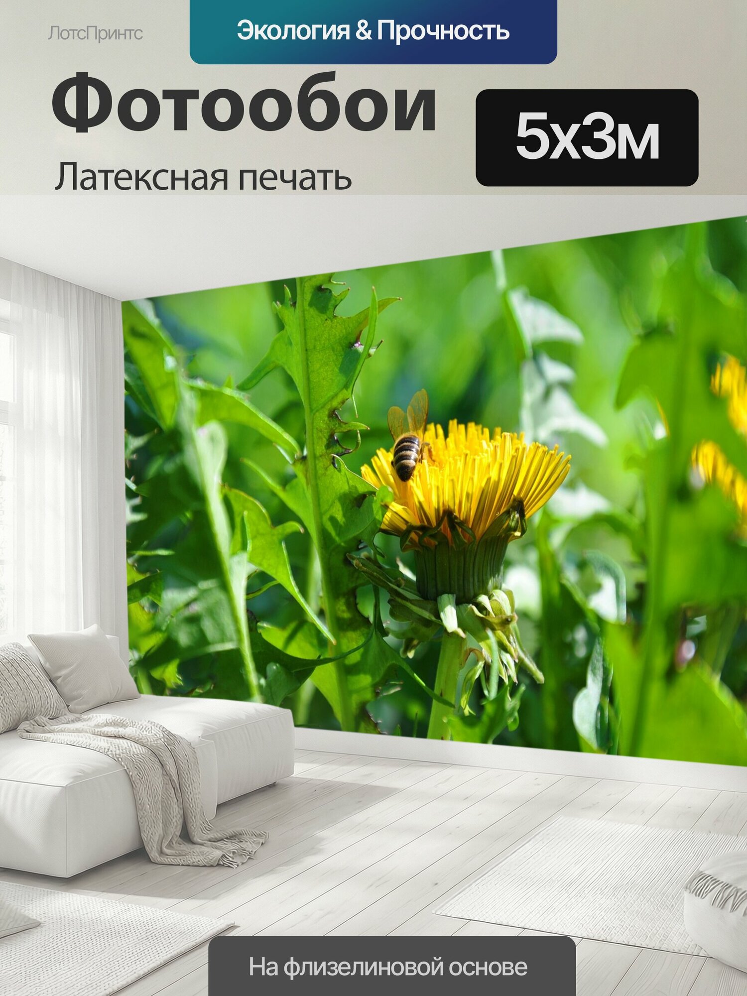 Фотообои моющиеся ударопрочные "Одуванчик, желтый цветок, весна" 500x300 см. латексная печать