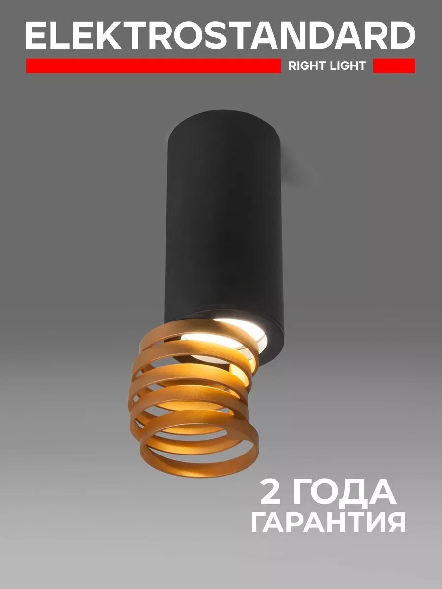 Спот / Накладной точечный светильник с поворотными кольцами Elektrostandard DLN102, GU10, цвет черный / золото
