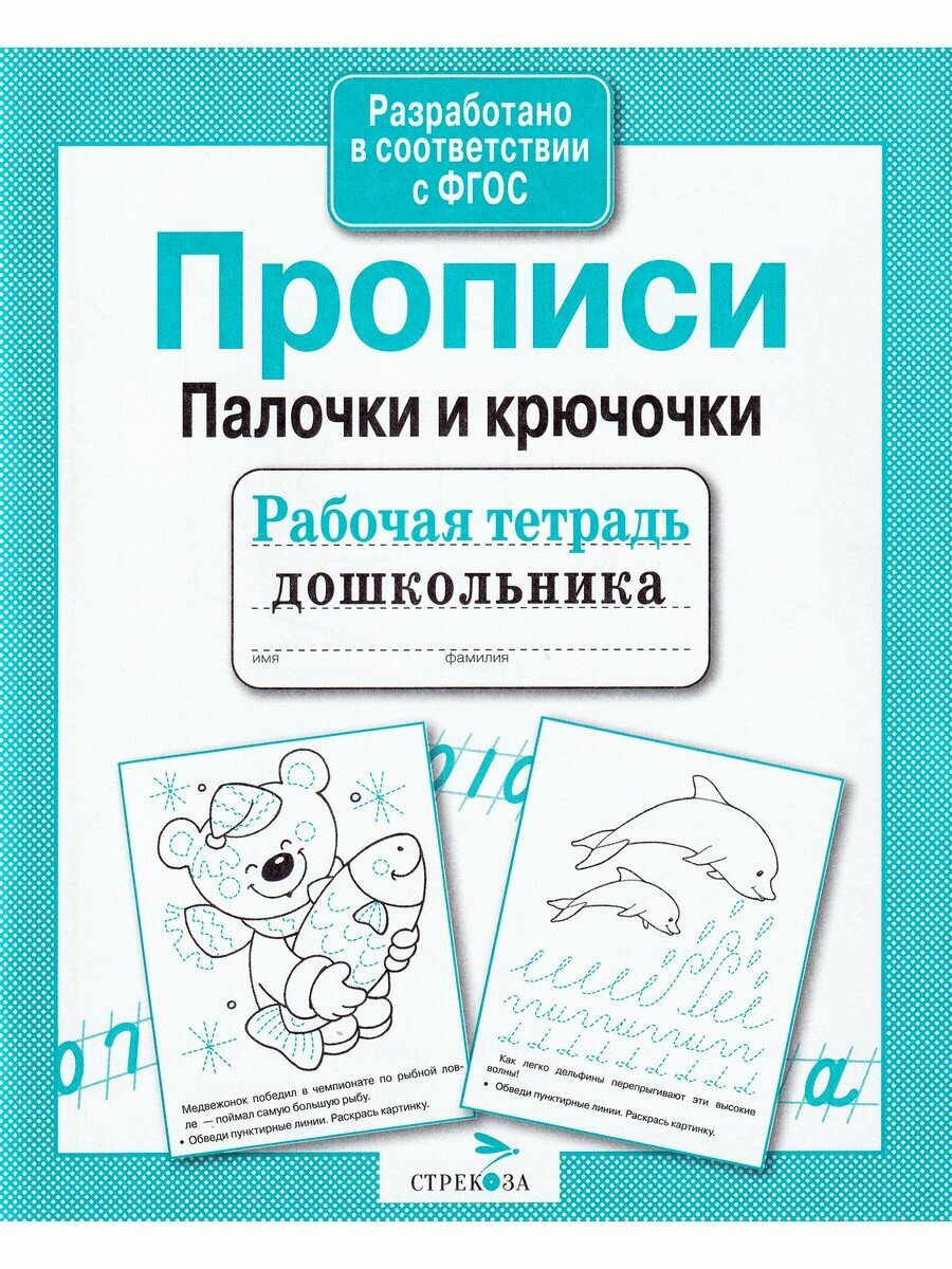 М: Стрекоза. Прописи. Палочки и крючочки. Рабочая тетрадь дошкольника