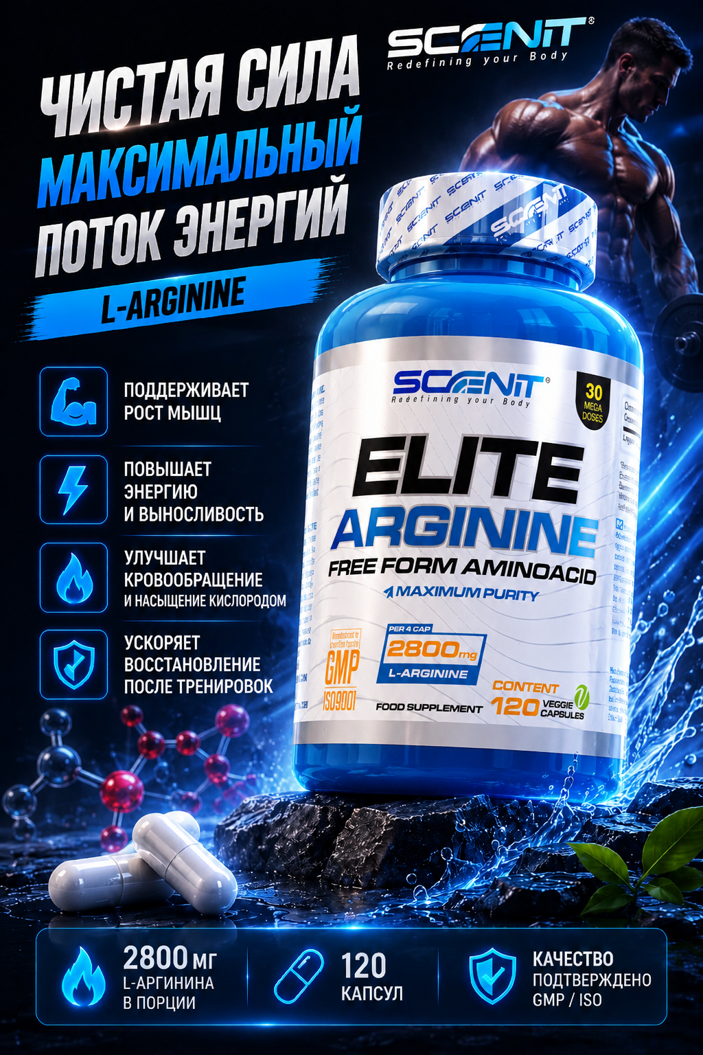 Аминокислоты Scenit Elite Arginine, аргинин 2800 мг, без вкуса, 120шт