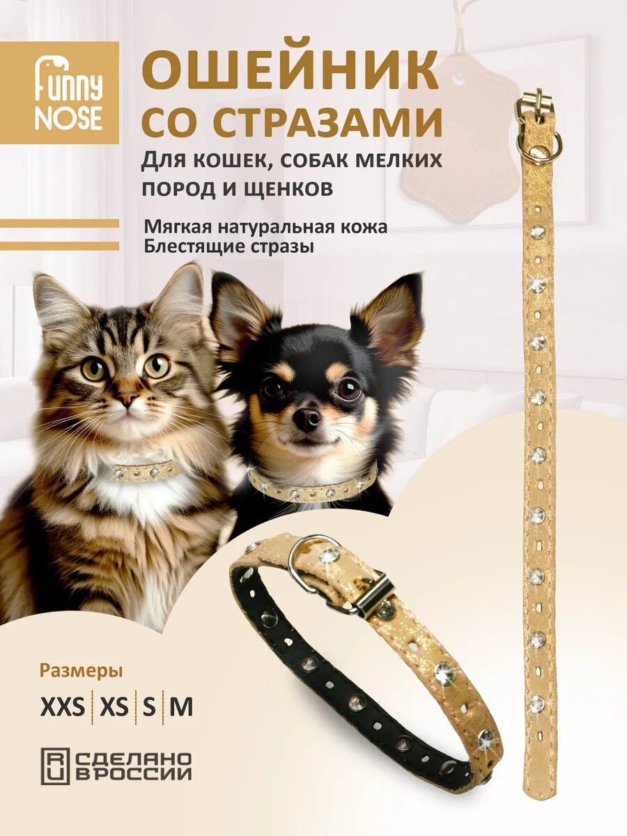 Ошейник кожаный со стразами для кошек, собак мелких пород и щенков