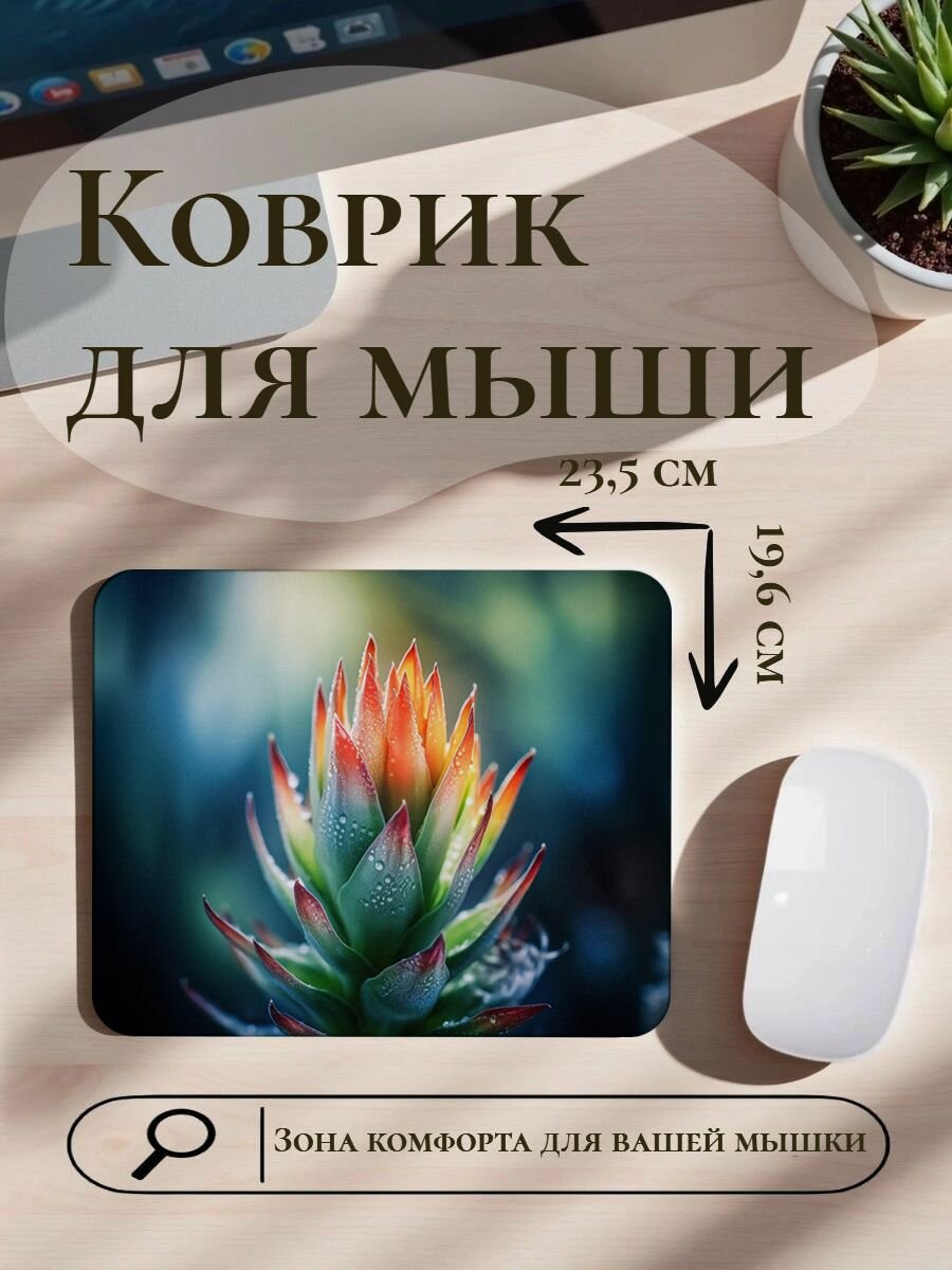 Коврик для мыши суккулент эхеверия капли росы прорезиненный