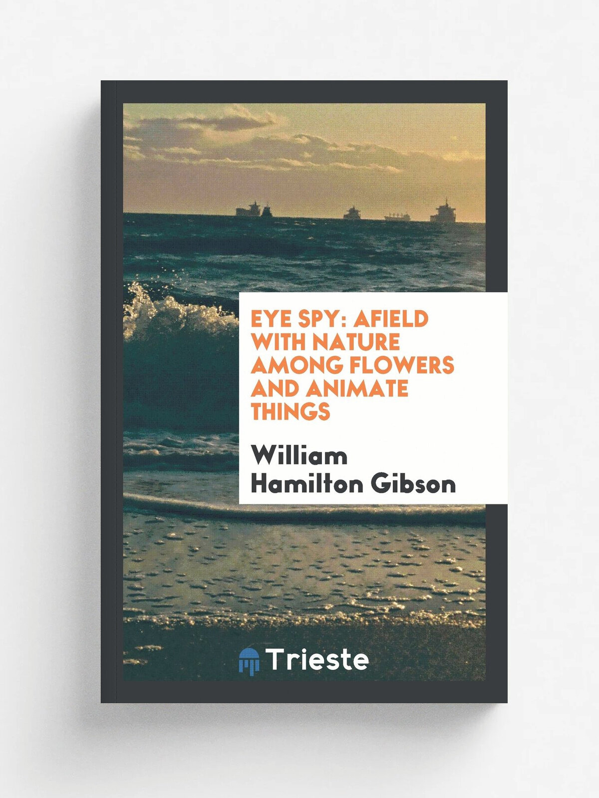 Eye spy. afield with nature among flowers and animate things