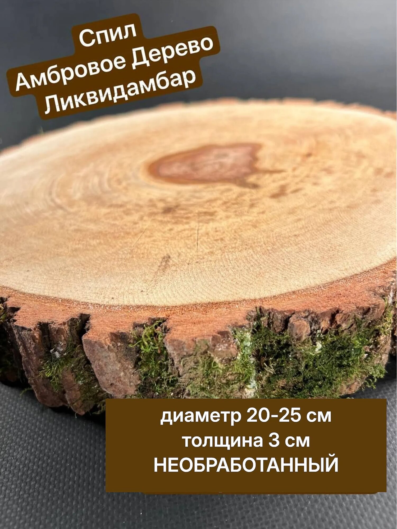 Спил Амбрового Дерева Ликвидамбар, диаметр 20-25 см, толщина 3 см, 1шт