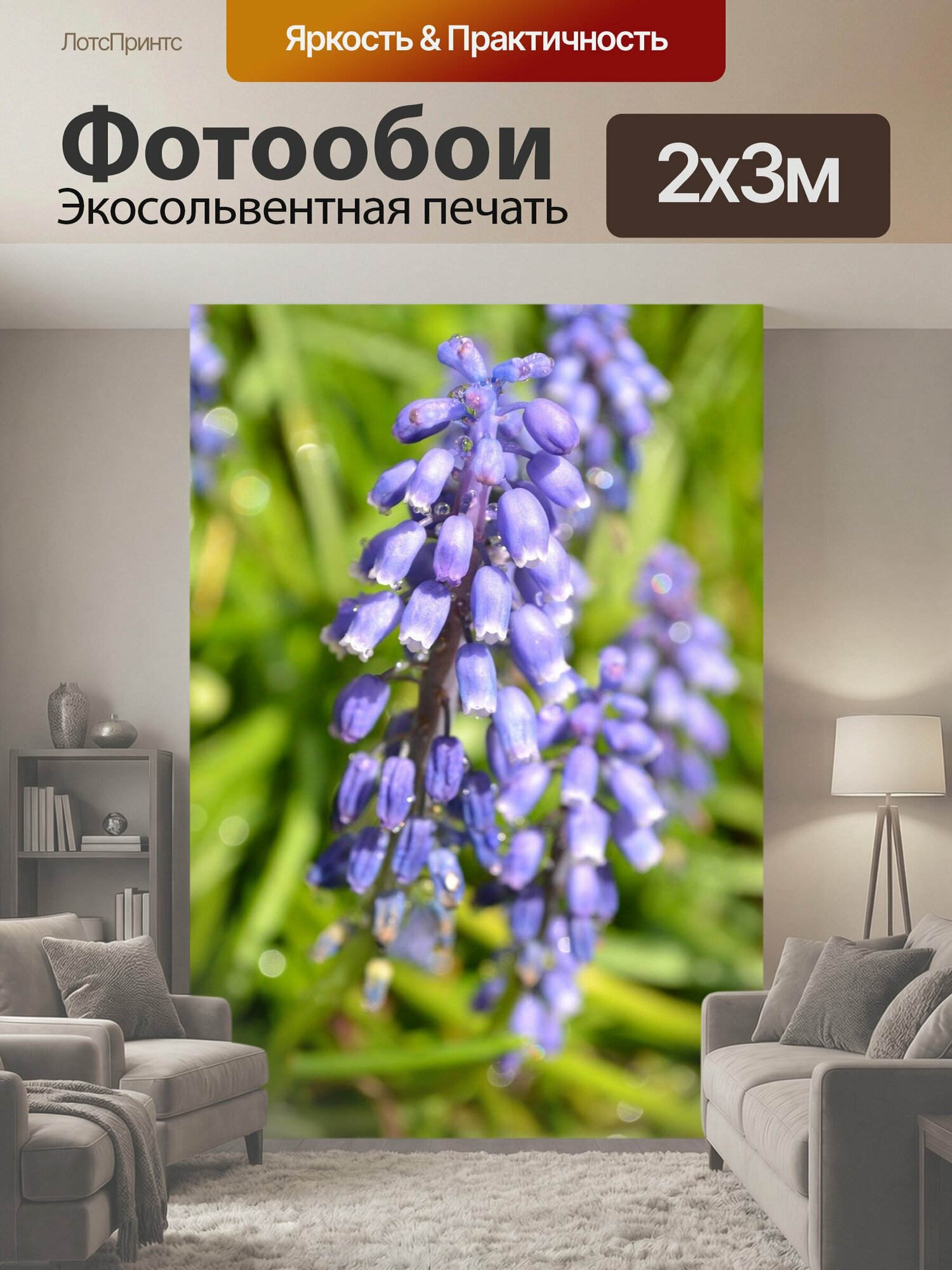 Фотообои "Гиацинт, цветок, фиолетовый" 200x300 см. экосольвентная печать