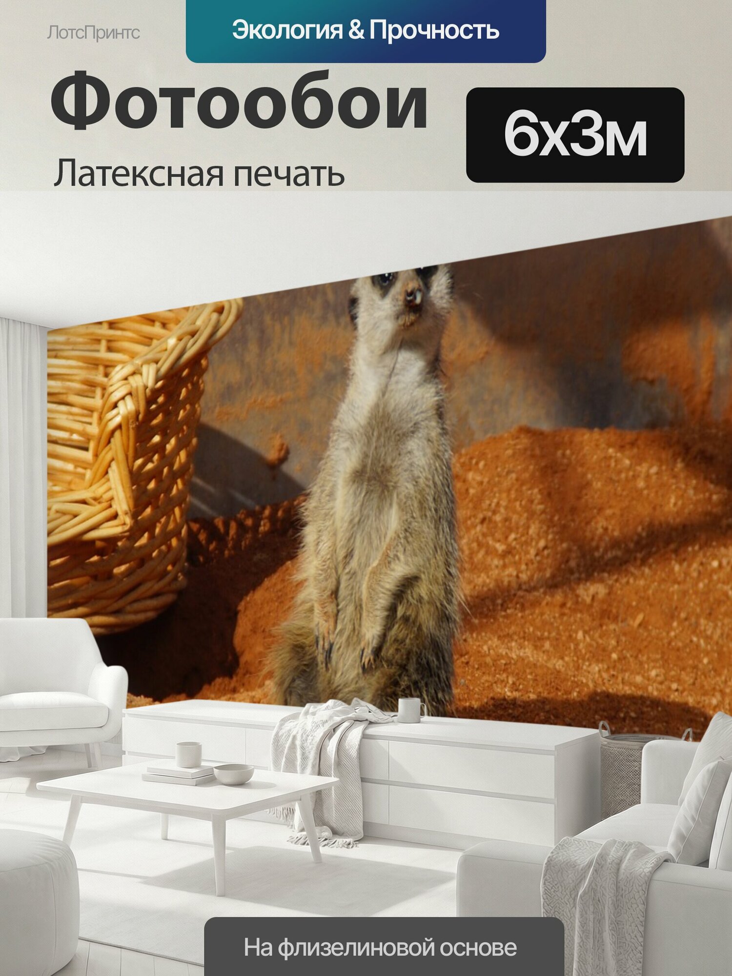 Фотообои моющиеся ударопрочные "Сурикат, охранник, зоопарк" 600x300 см. латексная печать