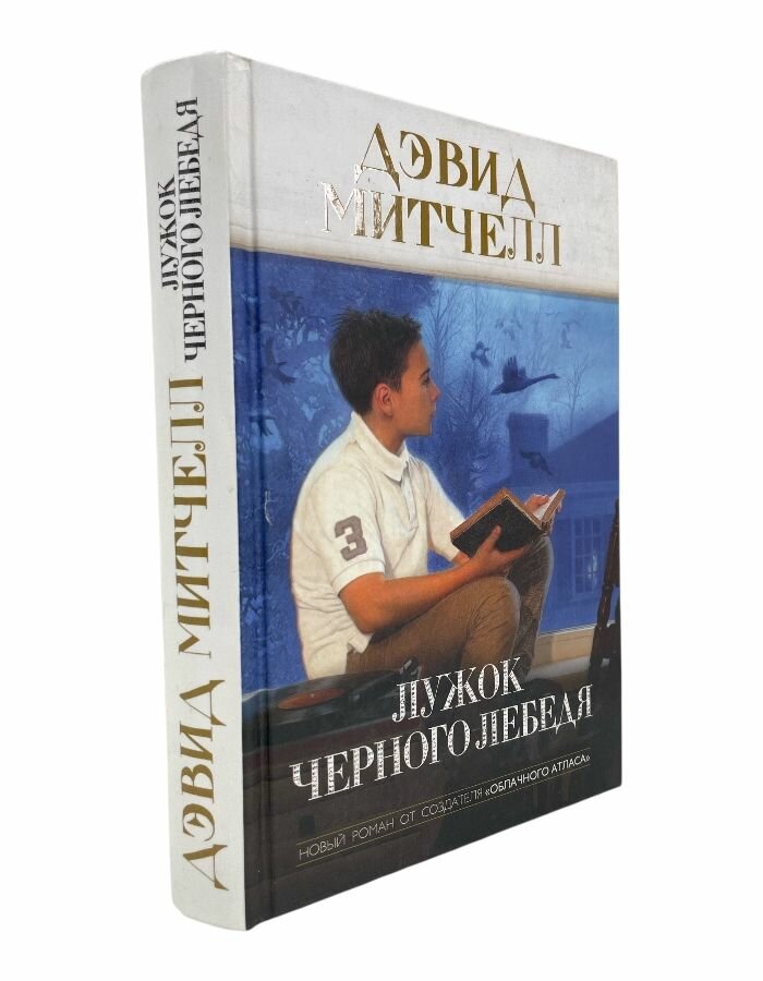 Лужок Черного Лебедя. Митчелл Д.