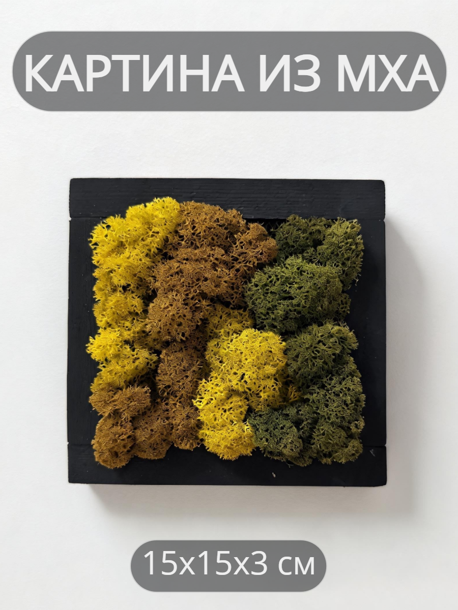 Картина Осенний лес /Панно/ Картина из стабилизированного мха