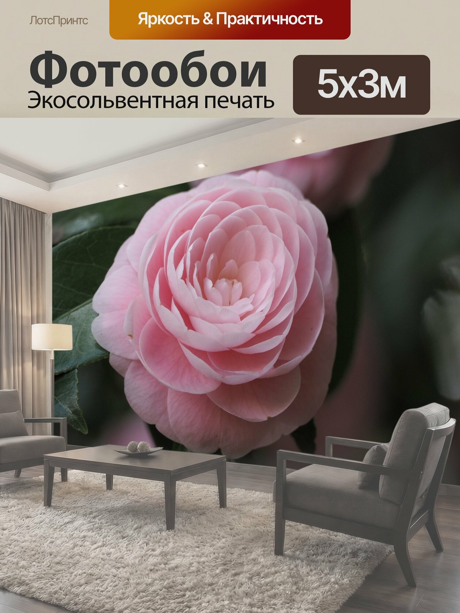 Фотообои "Камелия, цветы, розовый" 500x300 см. экосольвентная печать