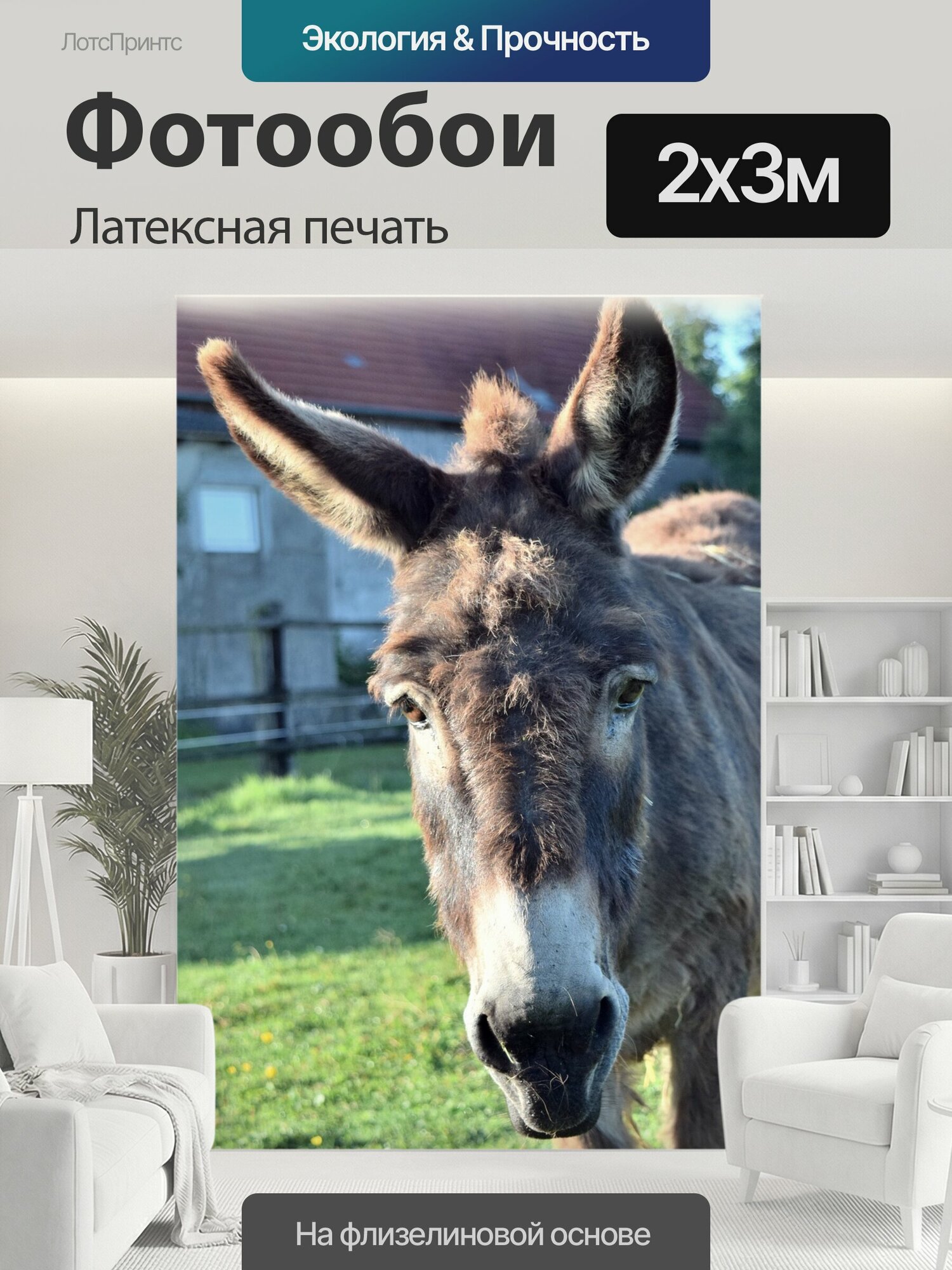Фотообои моющиеся ударопрочные "Домашний осёл, голова, животное" 200x300 см. латексная печать