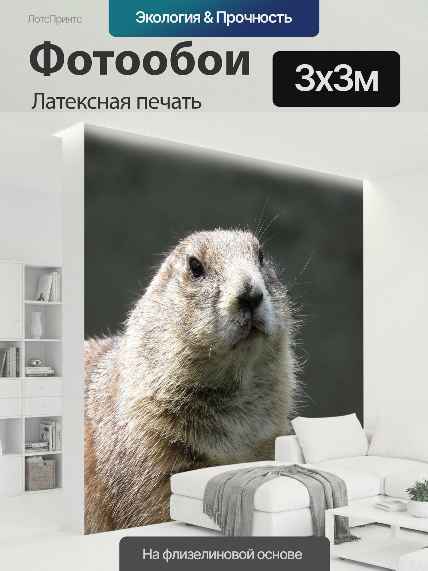 Фотообои моющиеся ударопрочные "Луговые собачки, грызун, луговая собачка гуннисона" 300x300 см. латексная печать