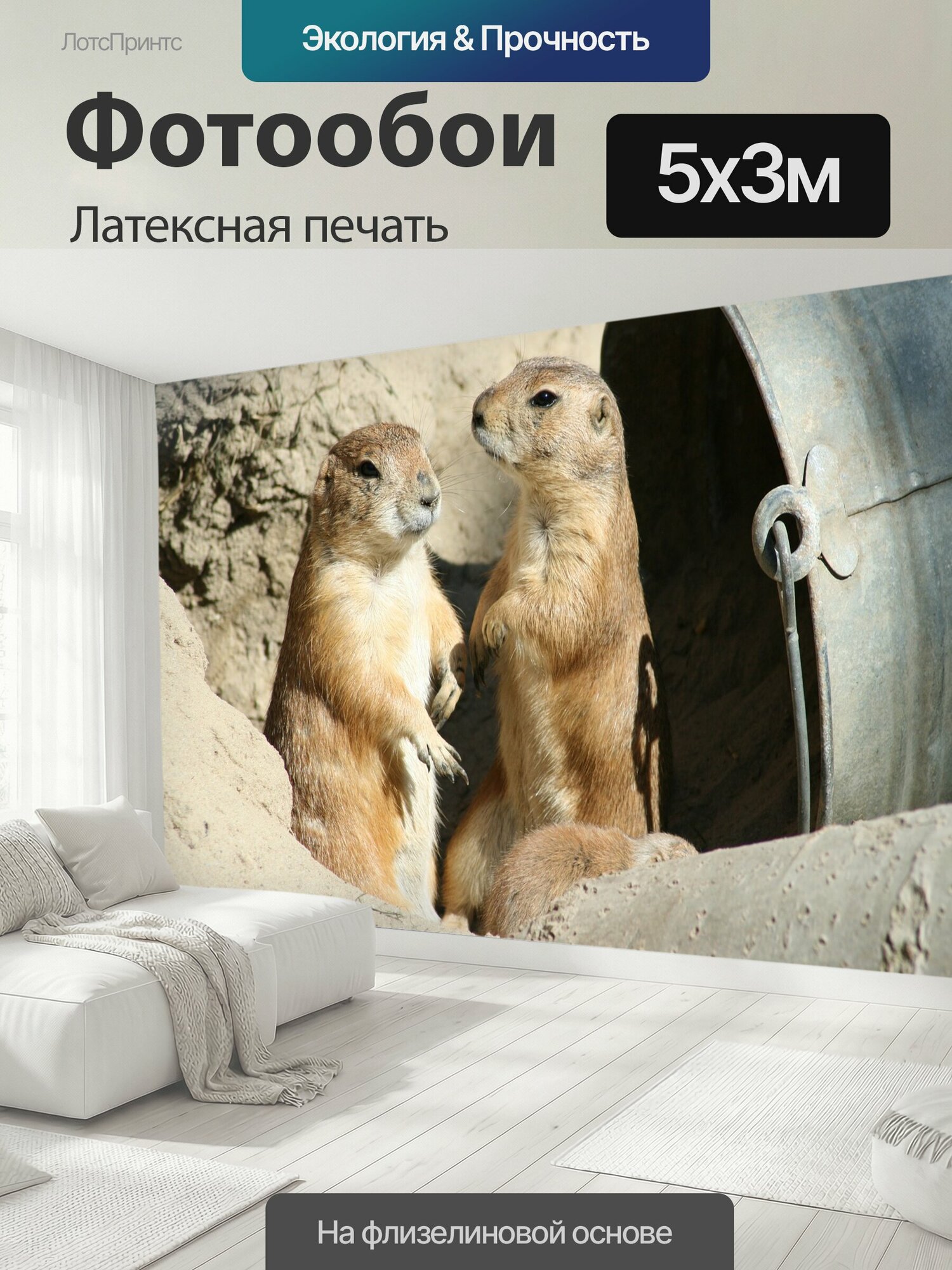 Фотообои моющиеся ударопрочные "Луговые собачки, зоопарк, животное" 500x300 см. латексная печать