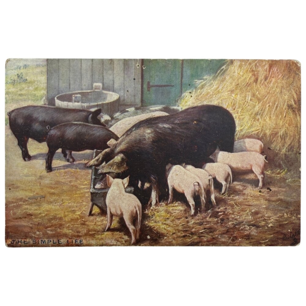 Почтовая открытка "Простая жизнь - Oilette" 1905-1920 гг. Raphael Tuck & Sons. Великобритания