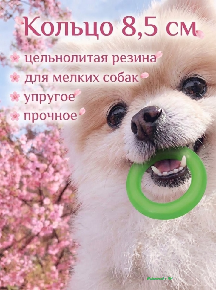 Triol: Игрушка для собак из цельнолитой резины Кольцо, 8,5 см, 12191055