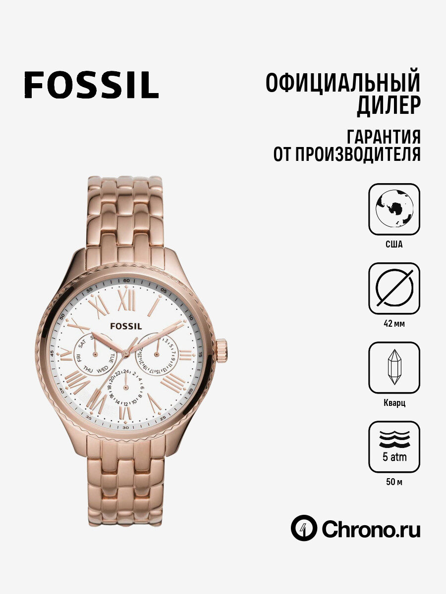  FOSSIL Redding