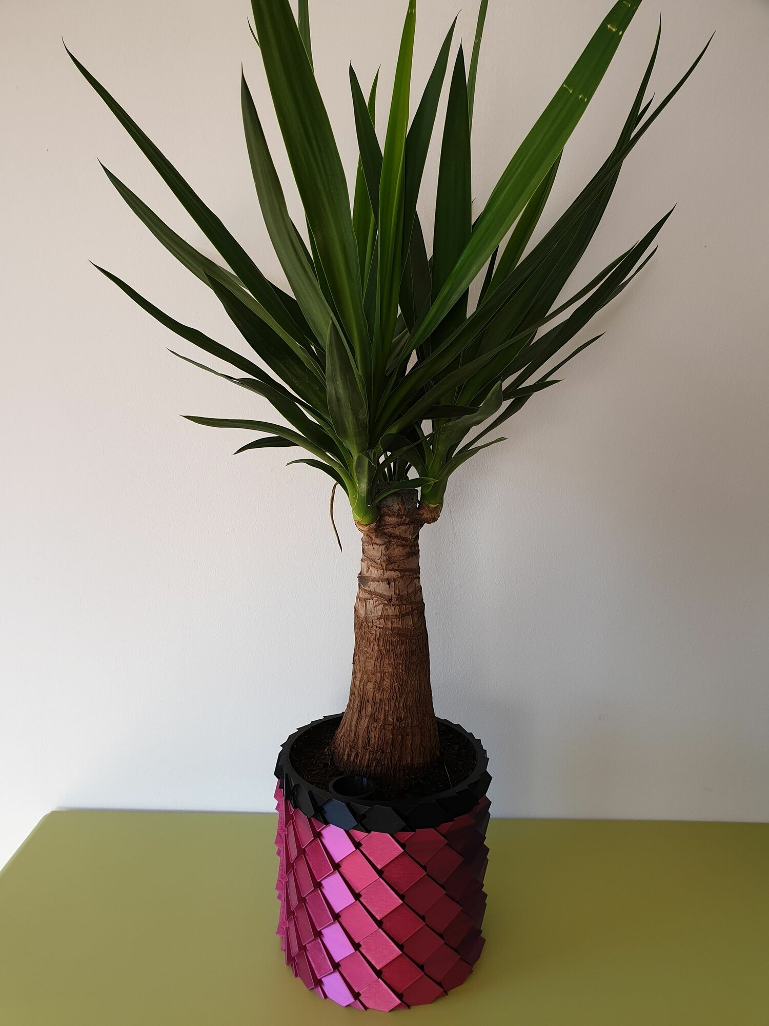Кашпо для растений с драконом, 3D-печать под заказ, арт. PZ-PLANT-PR-708267