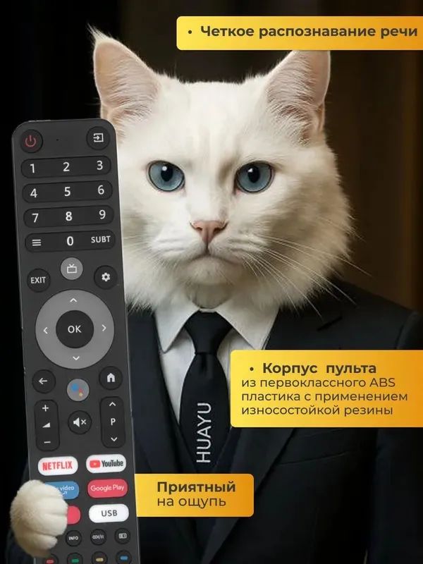 Голосовой пульт DP-V2 для телевизоров DЕXP, Viomi, YASIN и Aceline HBT028