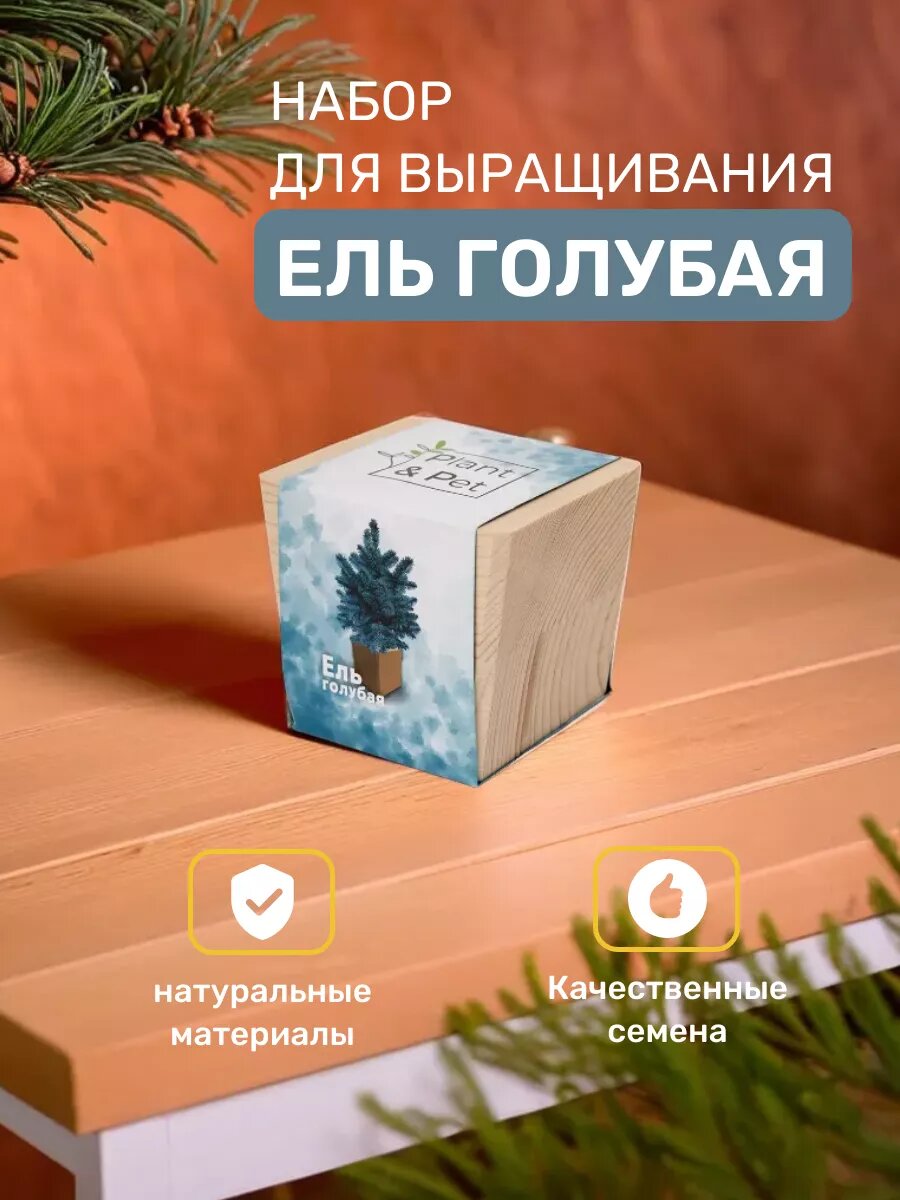 Набор для выращивания в подарок на новый год