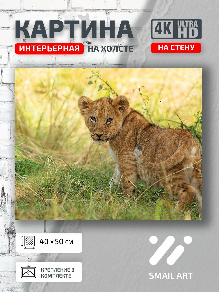 Картина на холсте интерьерная 40 на 50 на стену Хищник Mood для офиса атмосфера интерьер