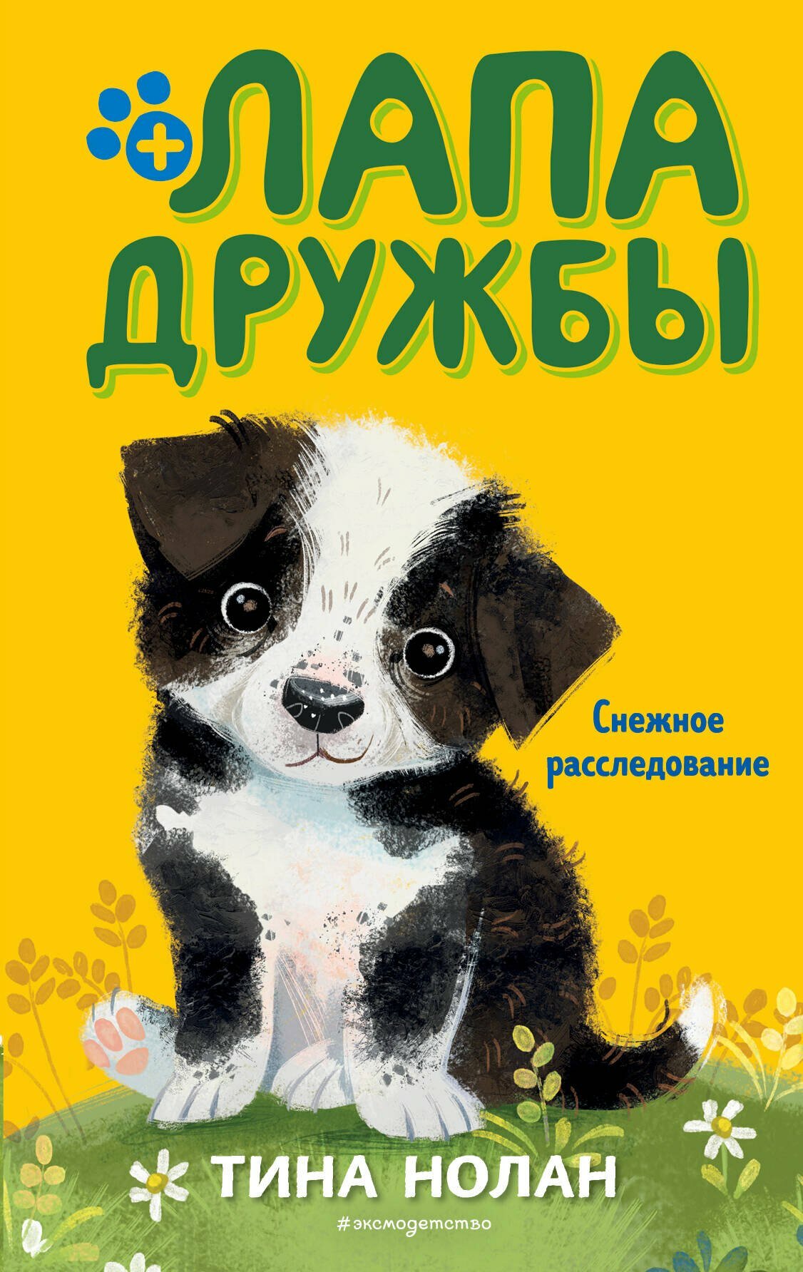 Снежное расследование (Нолан Т.)
